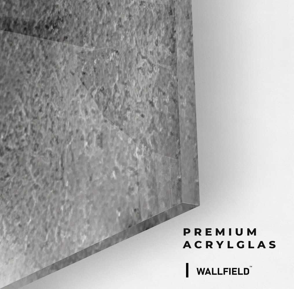 Neptune – Glass - Wallfield©